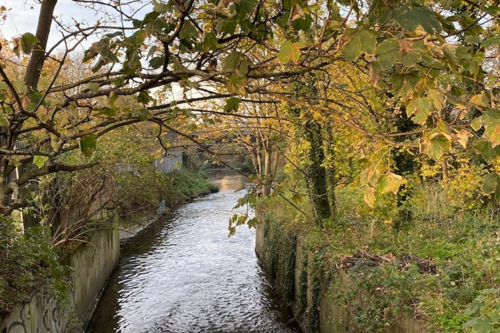 Welcome to the River Wandle in South London - Wandle News
