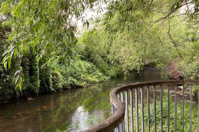 Exploring The River Wandle in South London - Wandle News