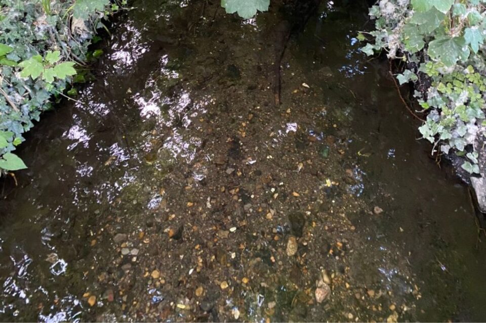 What are Chalk Streams?