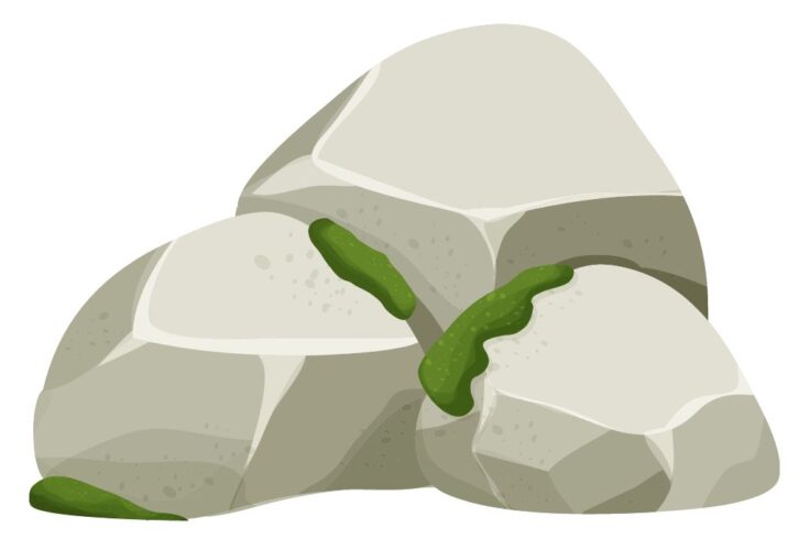 How to Clean a River Rock & Make it Shiny