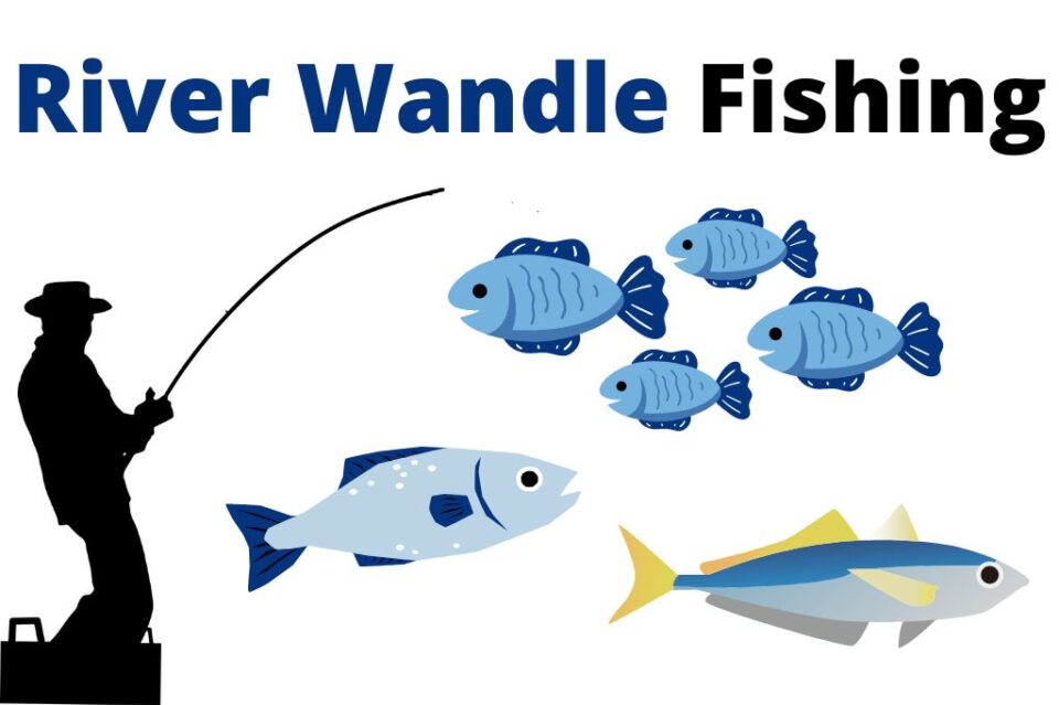 River Wandle Fishing - A Guide to Fishing along the Wandle Trail