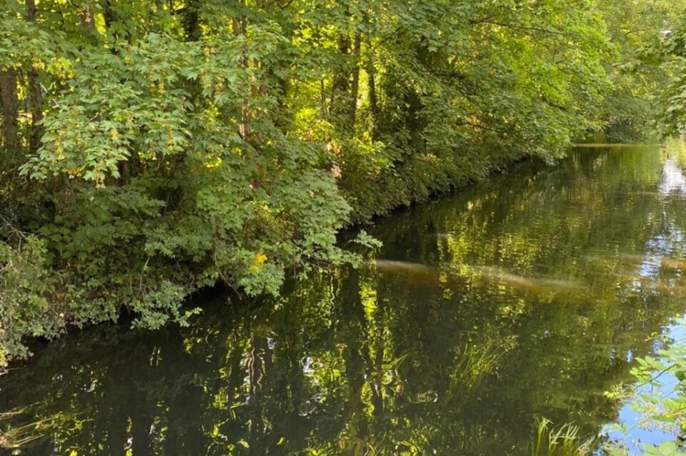 What are Chalk Streams?