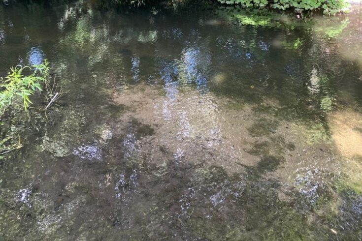 What are Chalk Streams?