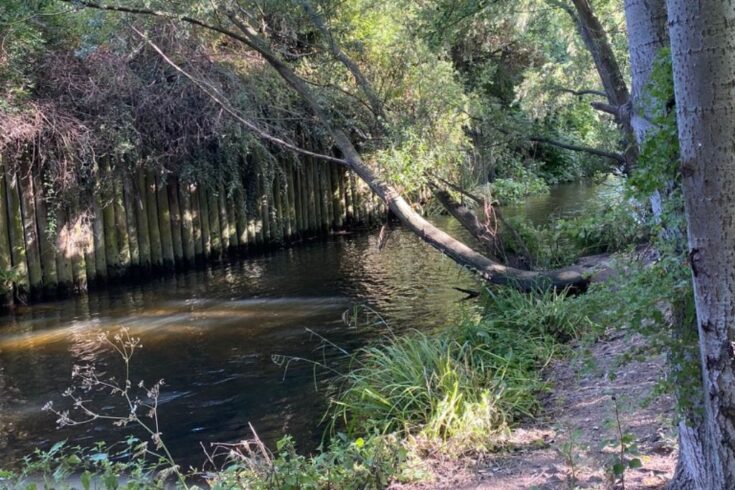 William Morris Factory Site by the River Wandle