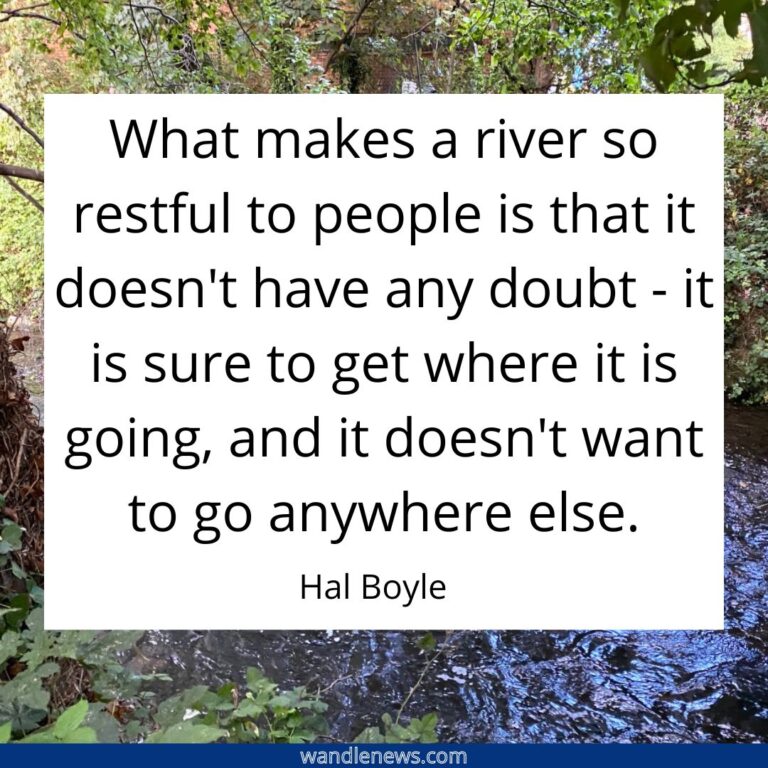 River Quotes for Instagram - 100+ Perfect Captions for Your Photos