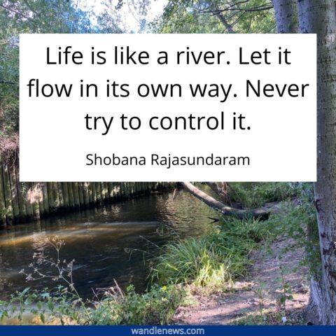 River Quotes for Instagram - 100+ Perfect Captions for Your Photos