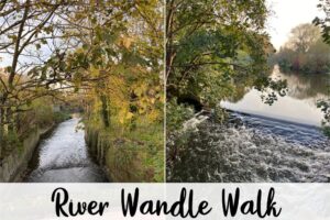 River Wandle Walk - The Ultimate Guide to Walking the Wandle Trail