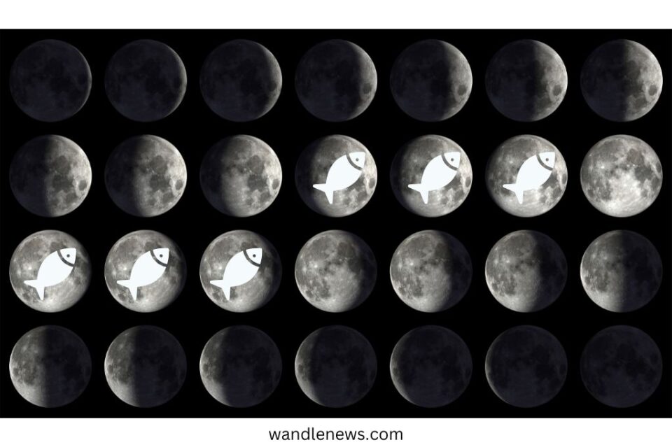 Fishing On A Full Moon How Moon Phases Affect Fish