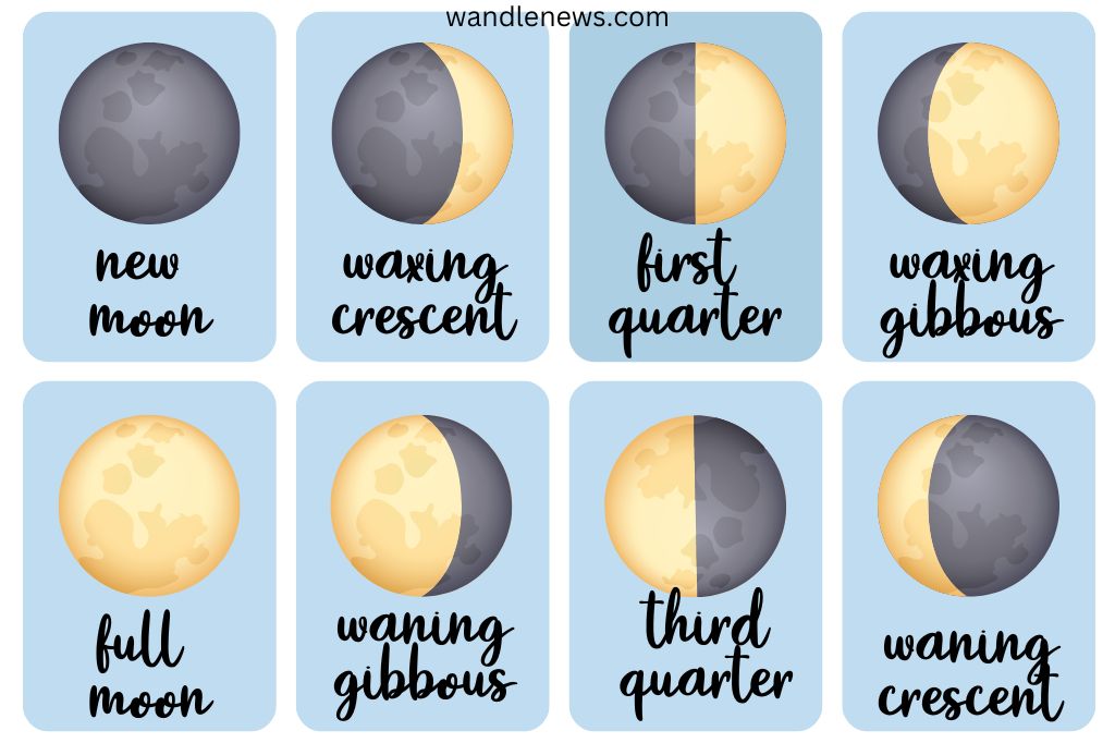 Fishing On A Full Moon How Moon Phases Affect Fish