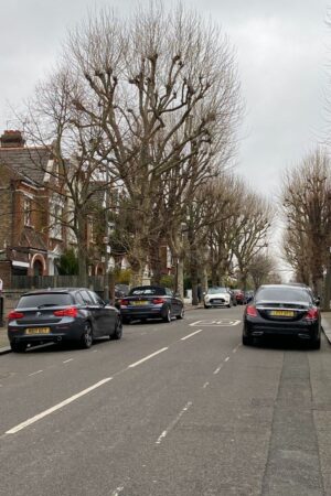 Wandsworth Area Guide - Wandle News