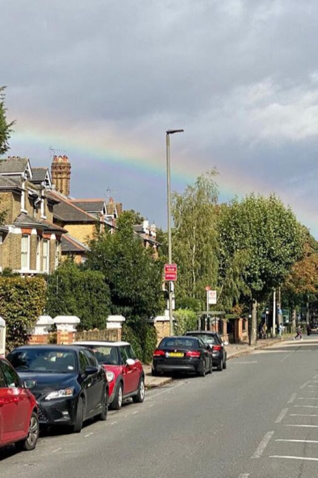 Wandsworth Area Guide - Wandle News