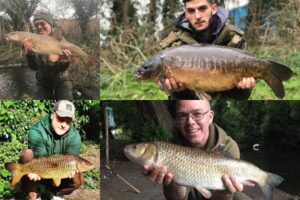 15 Types of Coarse Fish Found in the River Wandle