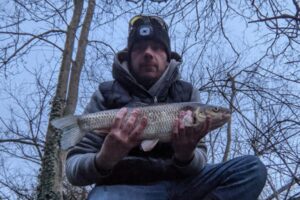 15 Types of Coarse Fish Found in the River Wandle