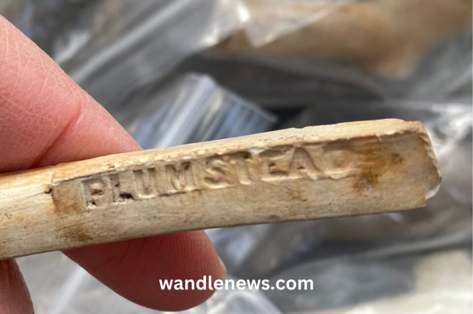 Mudlarking Experience with the Thames Explorer Trust