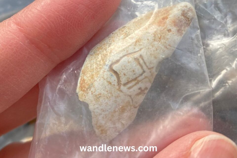 Mudlarking Experience with the Thames Explorer Trust