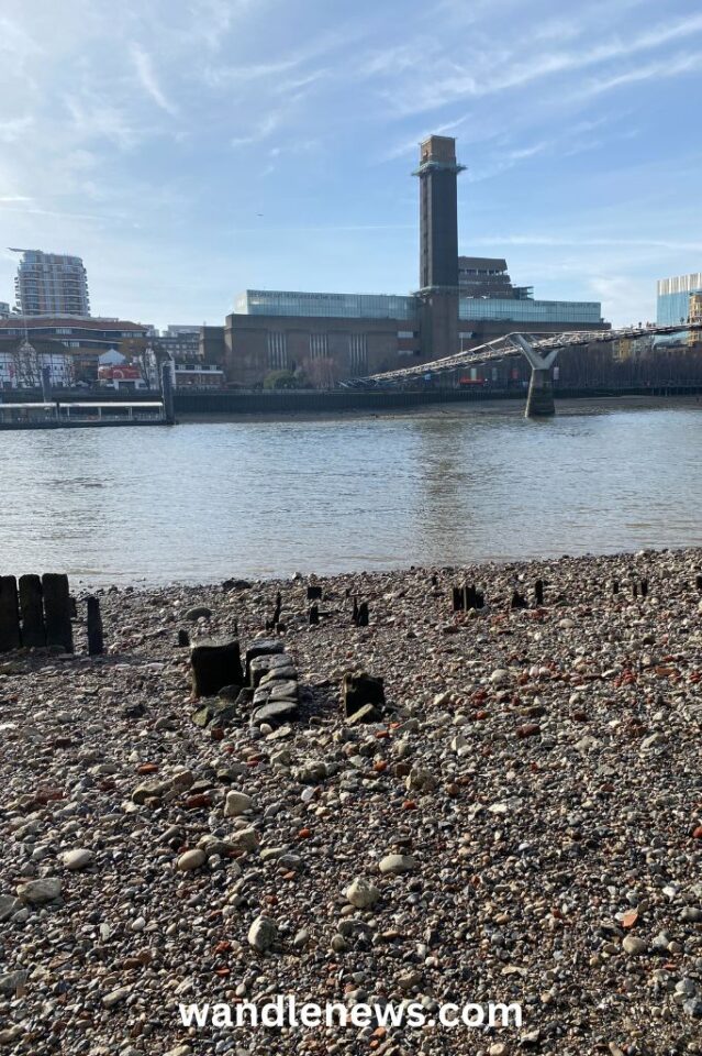 Mudlarking Experience with the Thames Explorer Trust