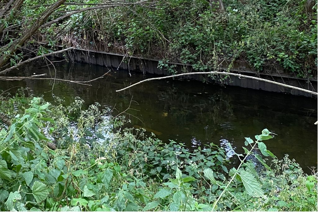 The Wandle Trail Re-Opens in Merton - April 2023