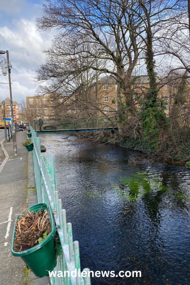 5 Best Spots for Barbel Fishing on River Wandle