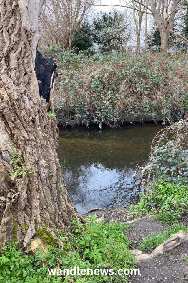 5 Best Spots for Barbel Fishing on River Wandle