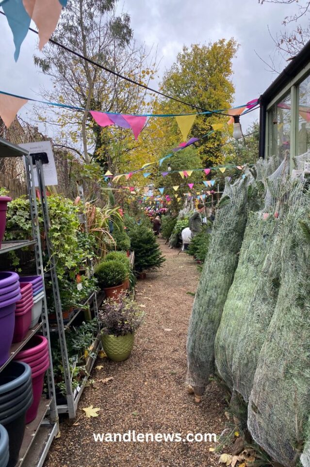 Battersea Flower Station Garden Centre & Florist