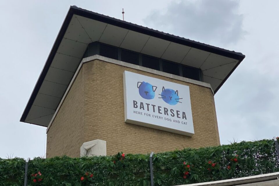 33 Things to do in Battersea this Weekend (2024)