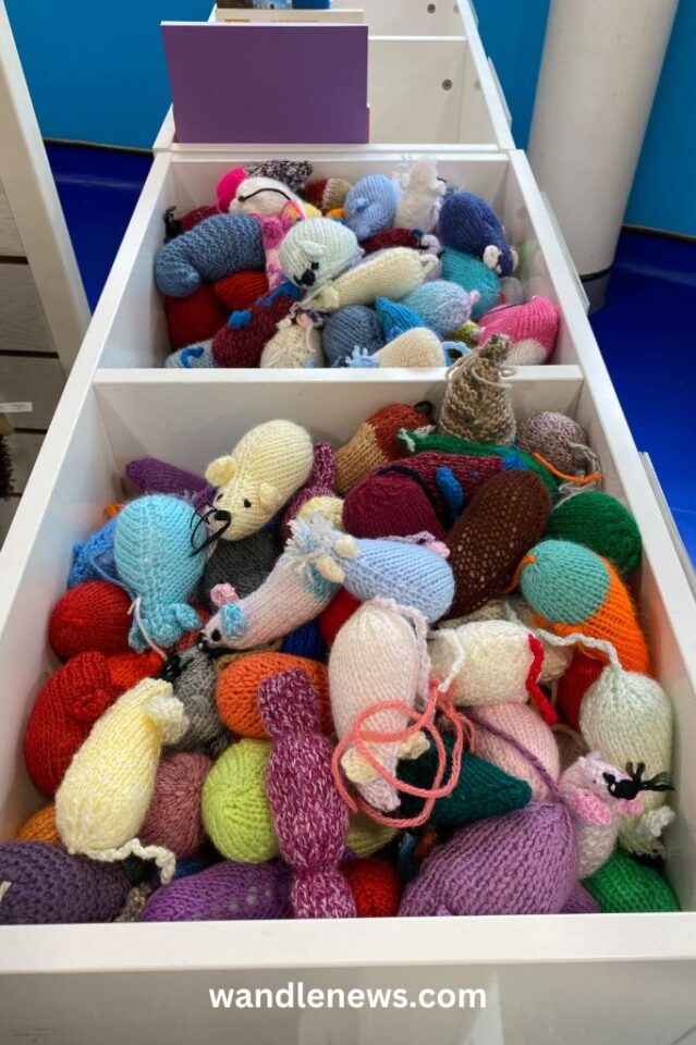 Battersea Dogs Home Tour: Review & How to Visit