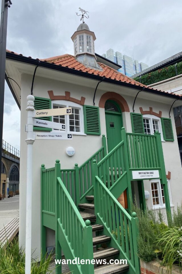 Battersea Dogs Home Tour: Review & How to Visit