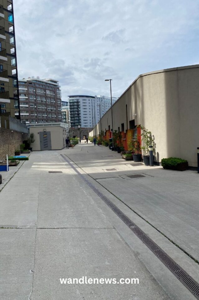 Battersea Dogs Home Tour: Review & How to Visit