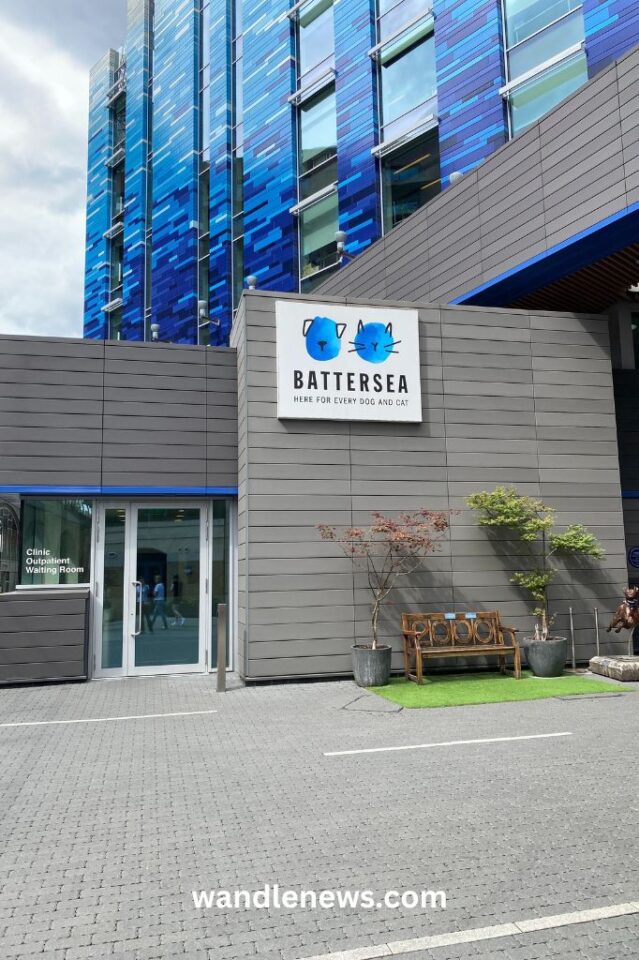 Battersea Dogs Home Tour: Review & How to Visit