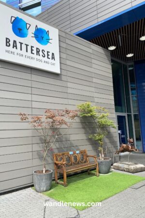 Battersea Dogs Home Tour: Review & How to Visit