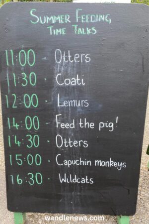 Battersea Park Zoo Review - All You Need to Know!